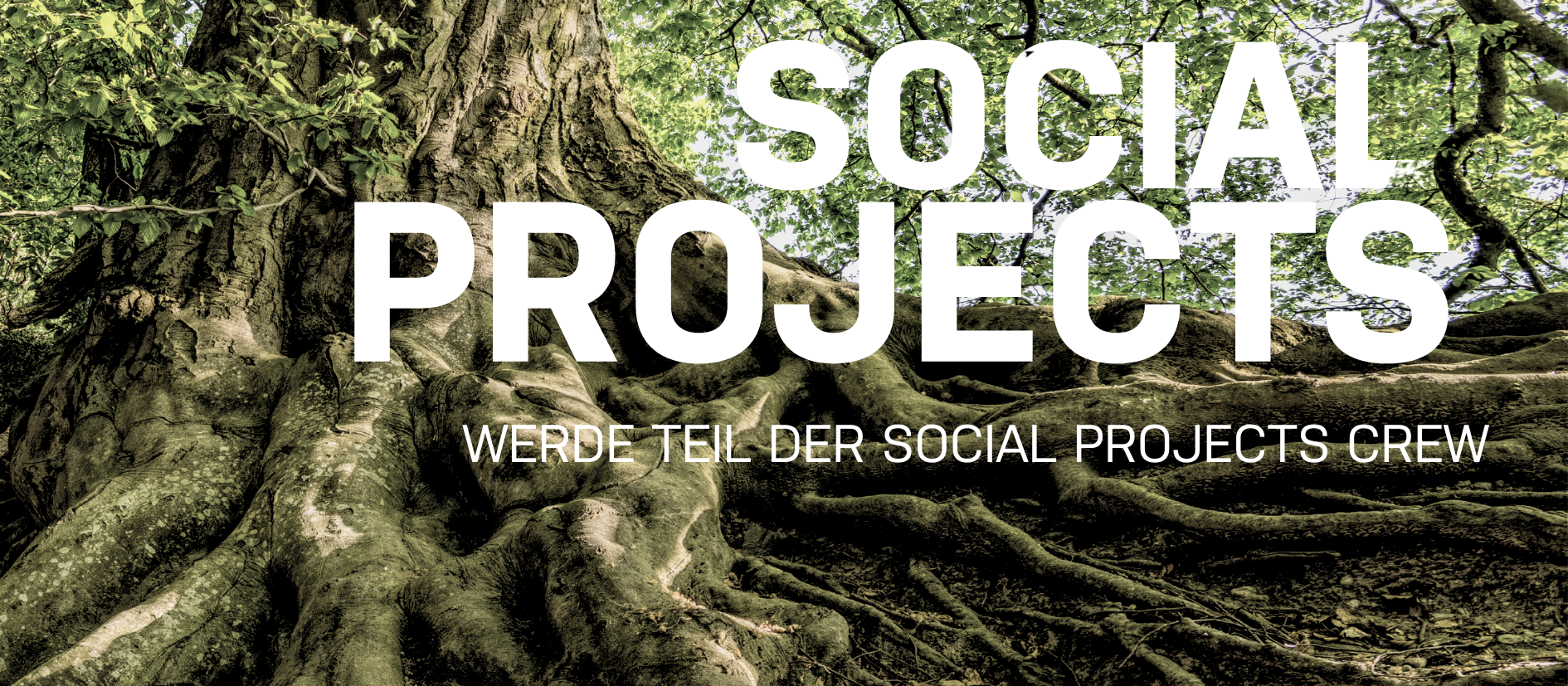 Social Projects